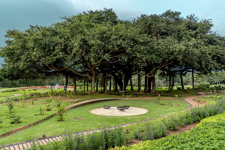 Studying Matrimandir’s Greens » India Art N Design